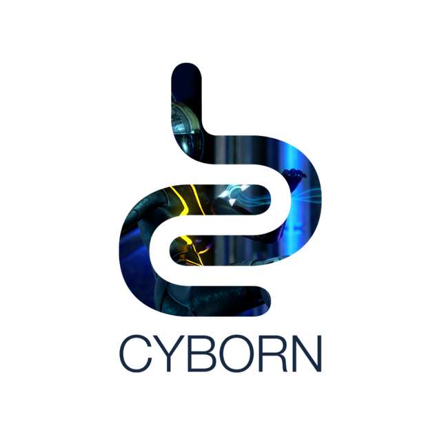 Cyborn Bv | mediarte