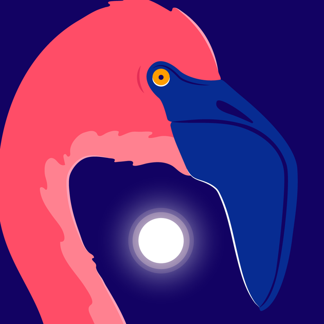 Adrien Tardy | mediarte